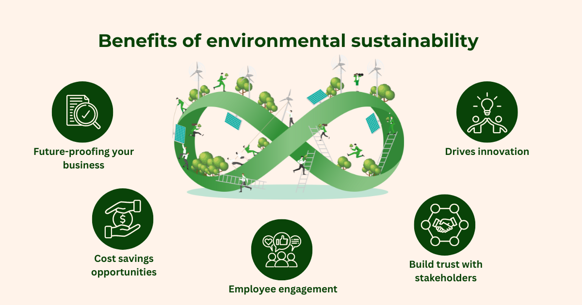 What is environmental sustainability: definition & examples